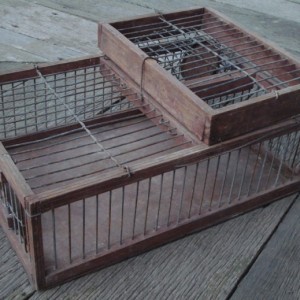 Vintage Traps | Australian Finch TrapVintage Traps