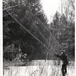 Vintage bird trap | Clap NetsVintage Traps