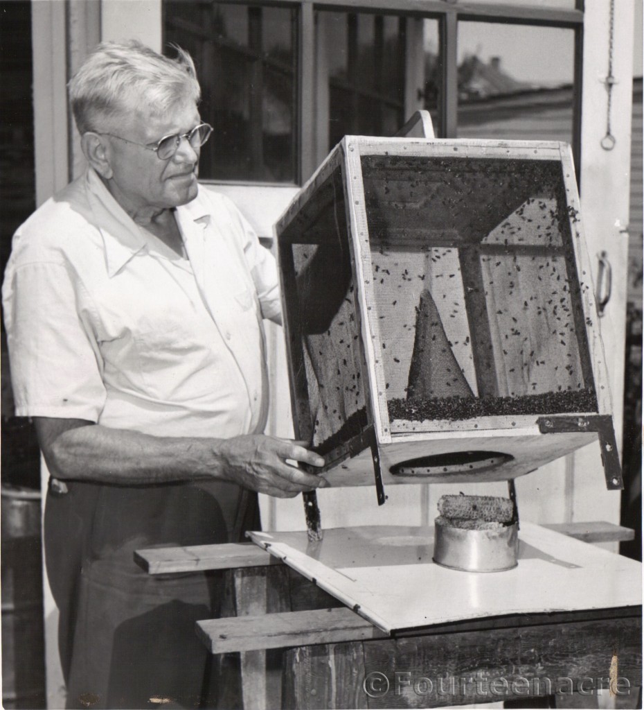 Vintage Trap Museum | Cleveland Fly TrapVintage Traps