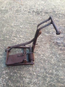 Vintage Traps | 4010 sawyerVintage Traps