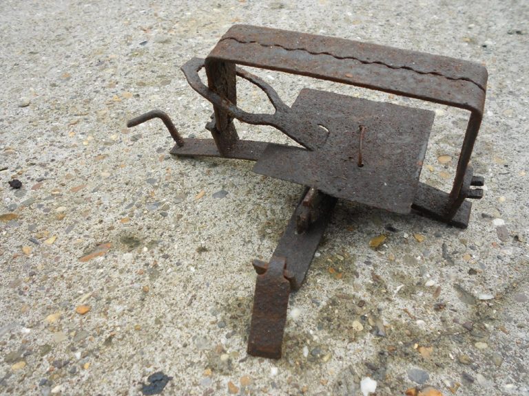 Gin Trap | Compact Rabbit Gin TrapVintage Traps